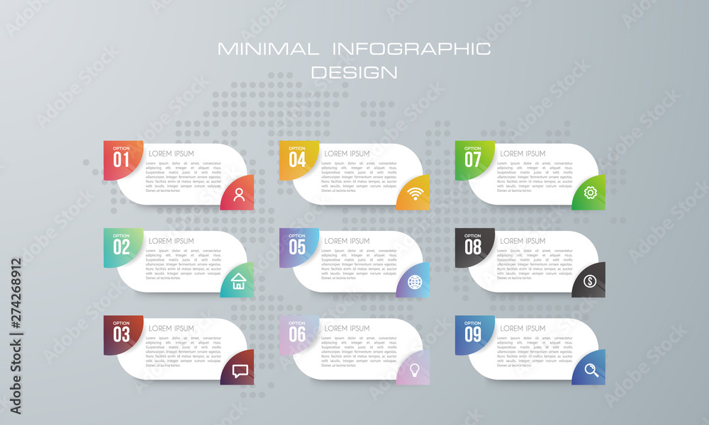 Process Timeline Infographic