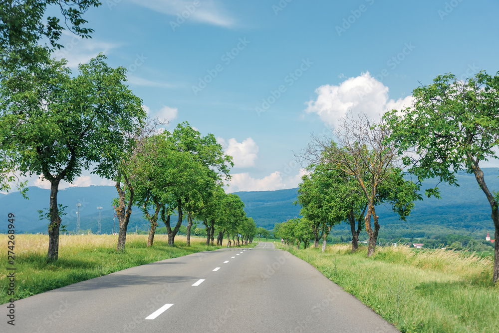 asphalt road through fields in to the mountains. beautiful summer ...
