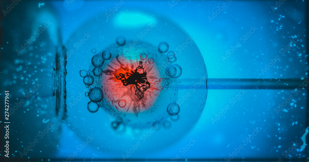 In vitro fertilisation. IVF. Cell under microscope. Custom genome ...