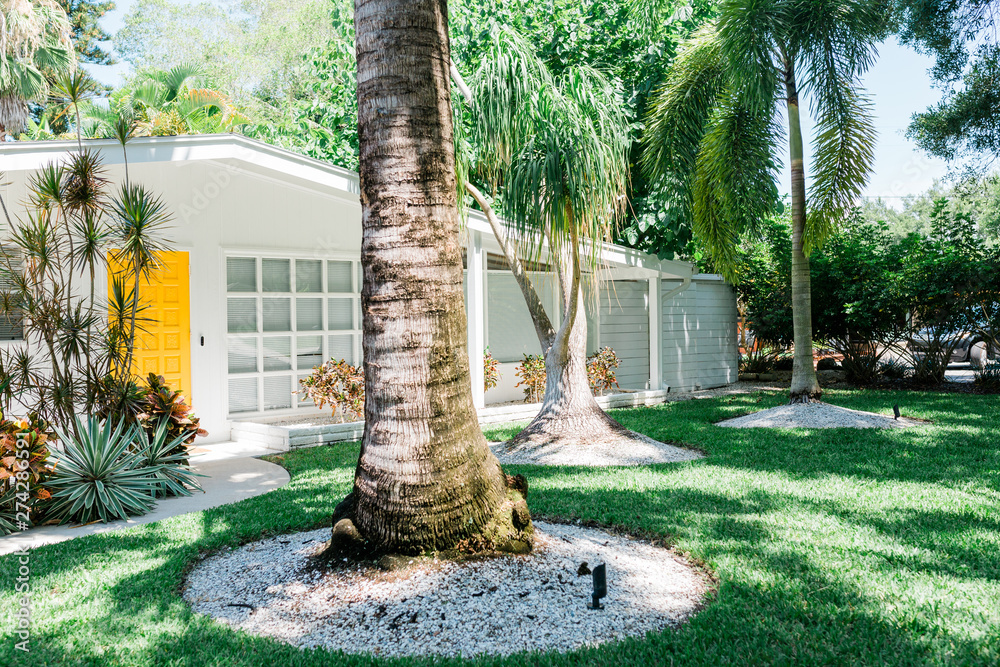 Large Palm Tree in front of house Stock Photo | Adobe Stock