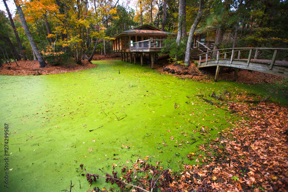The green ponds surrounding the nature center and administrative ...