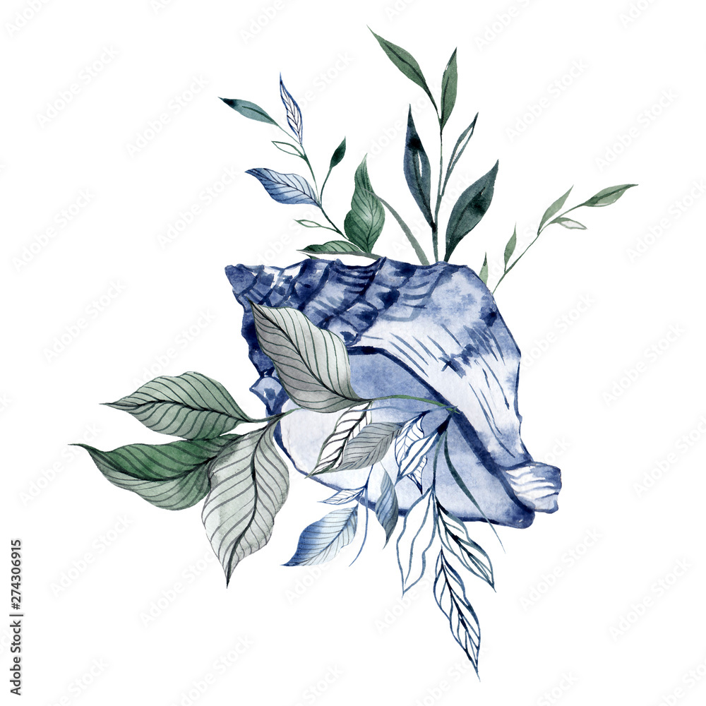 Watercolor collection with hand draw sea shells and leaves, isolated on ...