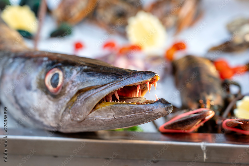 Close up on barracuda teeth. Sea fresh fish barracuda at street food ...