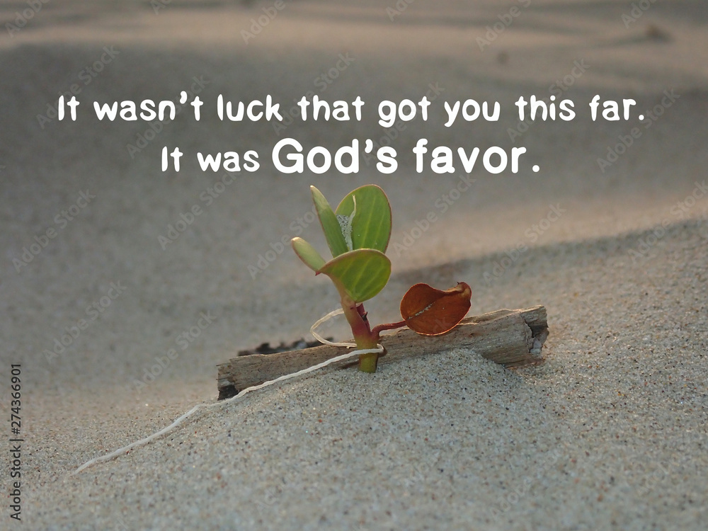 God's favor from bible verse with sandy beach and a blooming morning ...