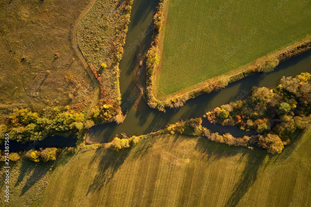 Trees by the stream in autumn from above Stock Photo | Adobe Stock