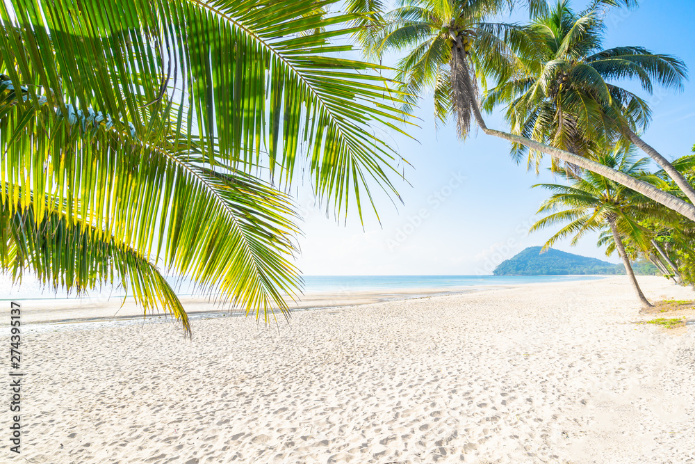 Tropical sea Coconut trees and beautiful white beaches of Chumphon ...