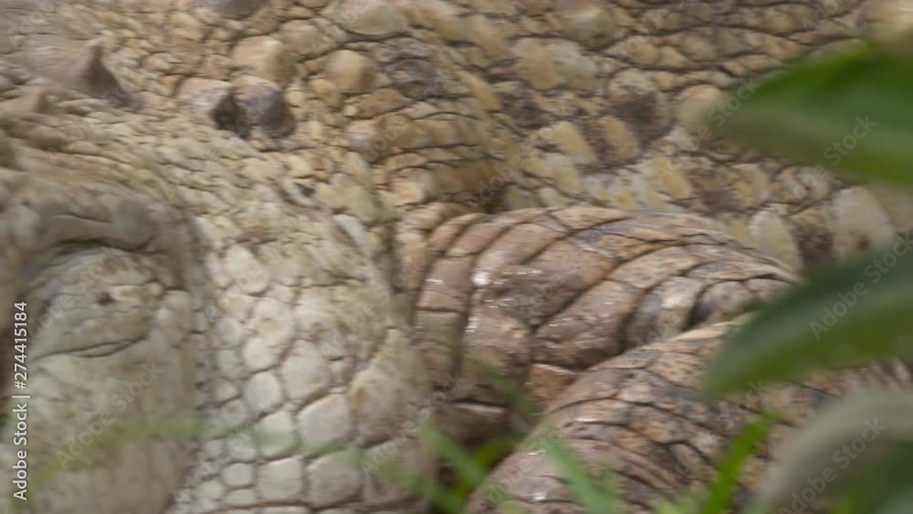 Extreme Close Up Shot Photography