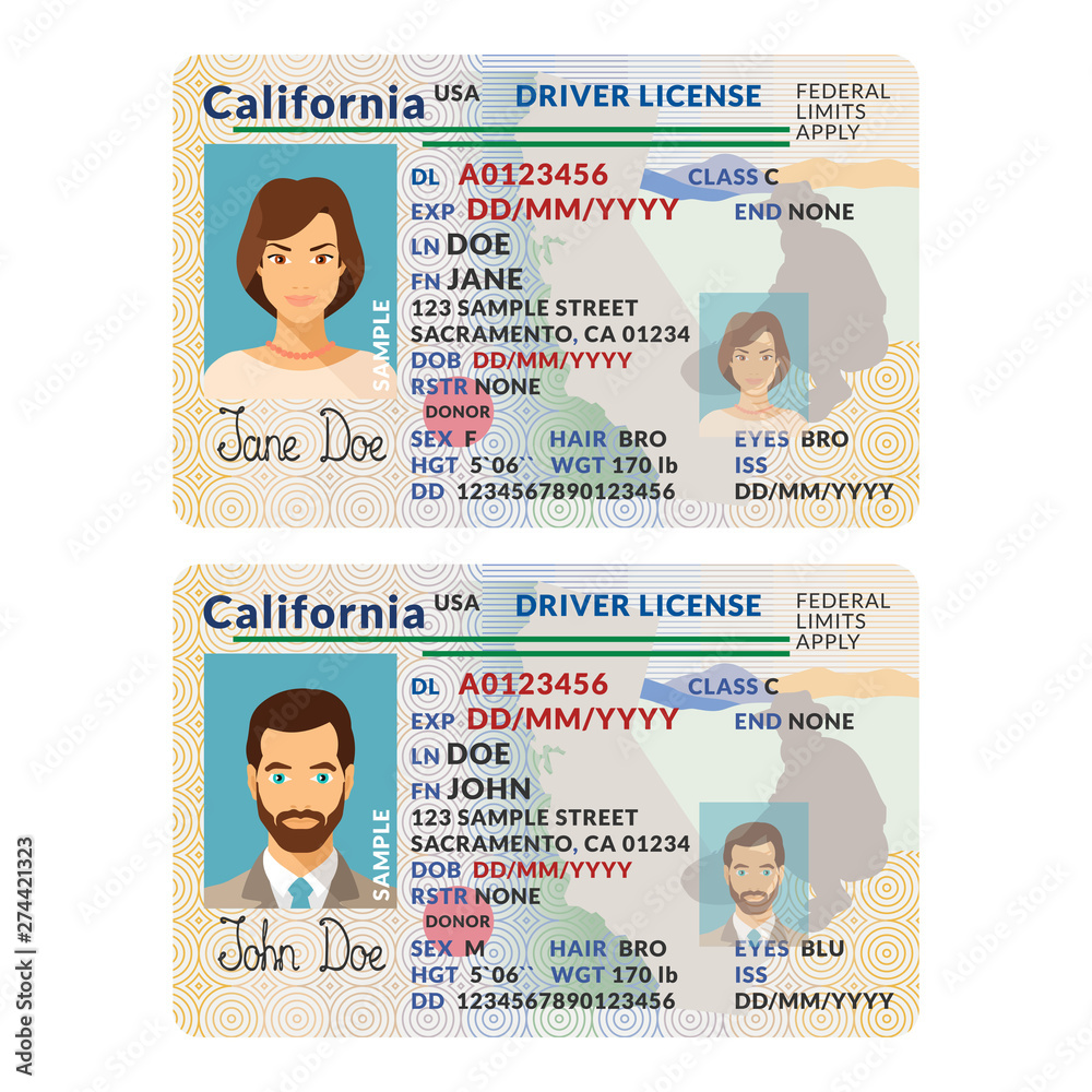 Vector Template Of Sample Driver License Plastic Card For USA 