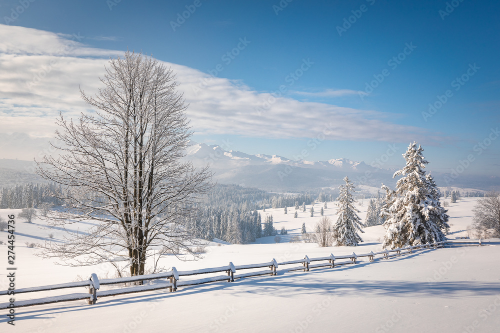 Tatra Mountain in winter, landscape wiht wiev of Tatra Poland Pieniny ...