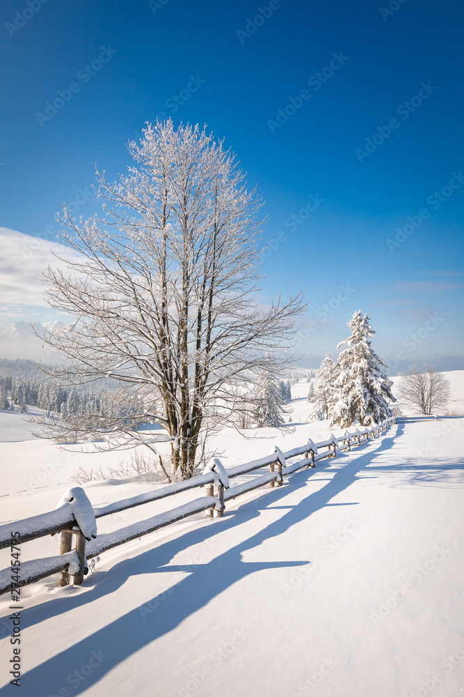 Tatra Mountain in winter, landscape wiht wiev of Tatra Poland Pieniny ...