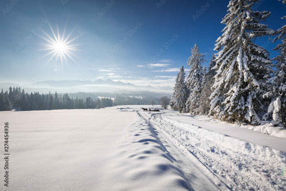 Tatra Mountain in winter, landscape wiht wiev of Tatra Poland Pieniny ...