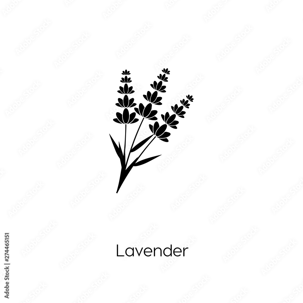 lavender icon. lavender vector symbol. Linear style sign for mobile concept and web design ...