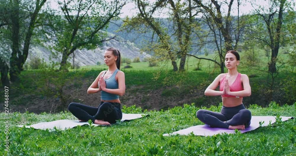 Attractive women at nature concentrated doing yoga poses meditation ...