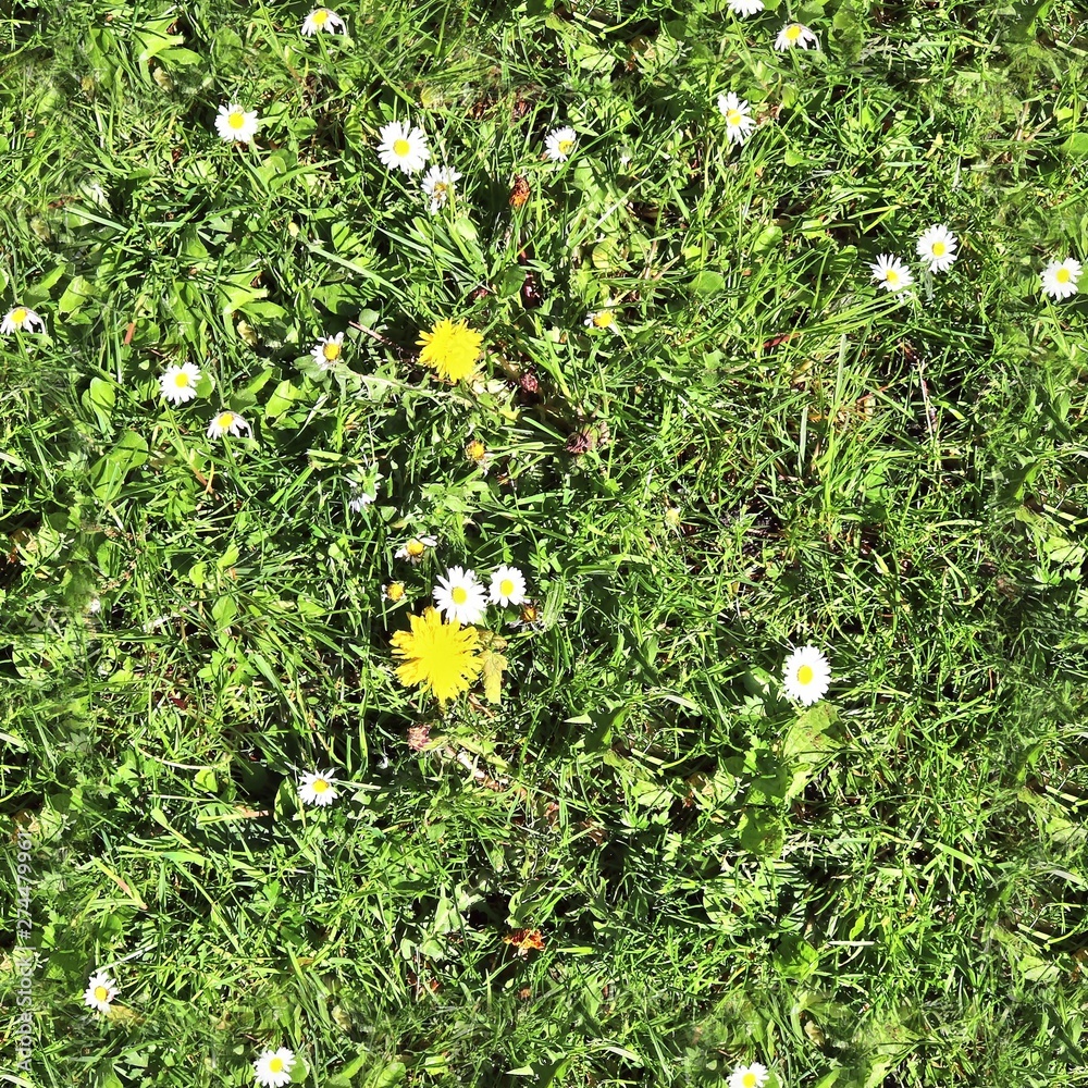 High resolution seemless texture of green grass and plants for 3d ...