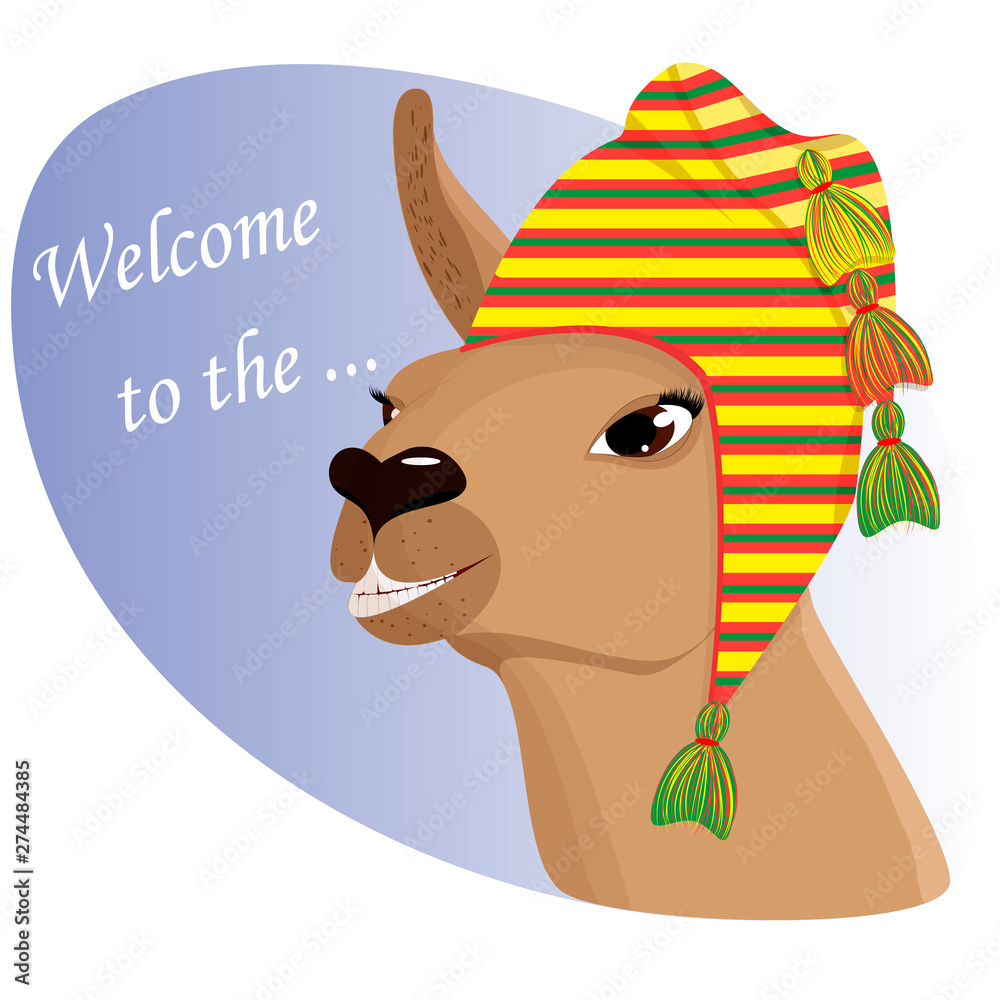 Peruvian Hat Vector