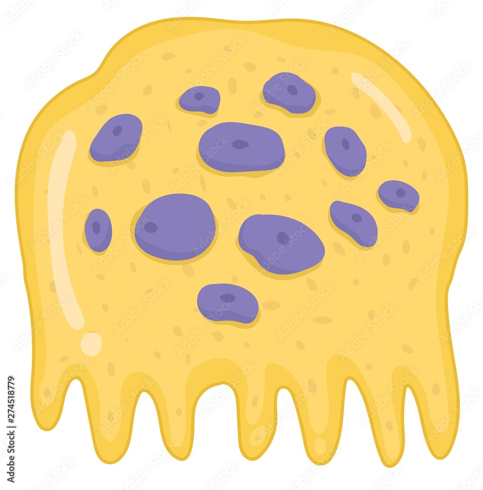 Inside the bone - osteoclast cell Stock Vector | Adobe Stock