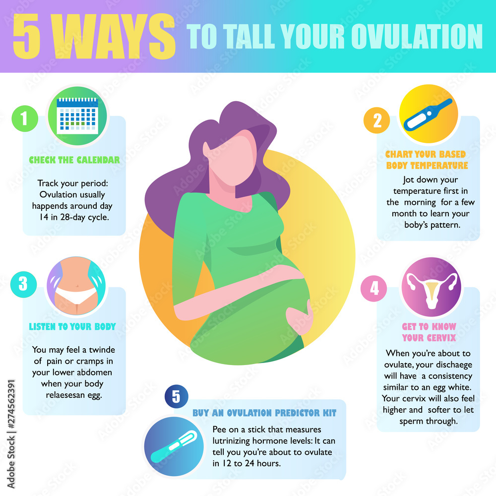 5 ways to tall your ovulation. Preparation for pregnancy. Detailed ...