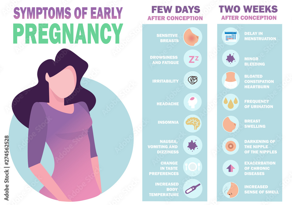 Symptoms of early pregnancy. Detailed vector Infographic. Human health ...