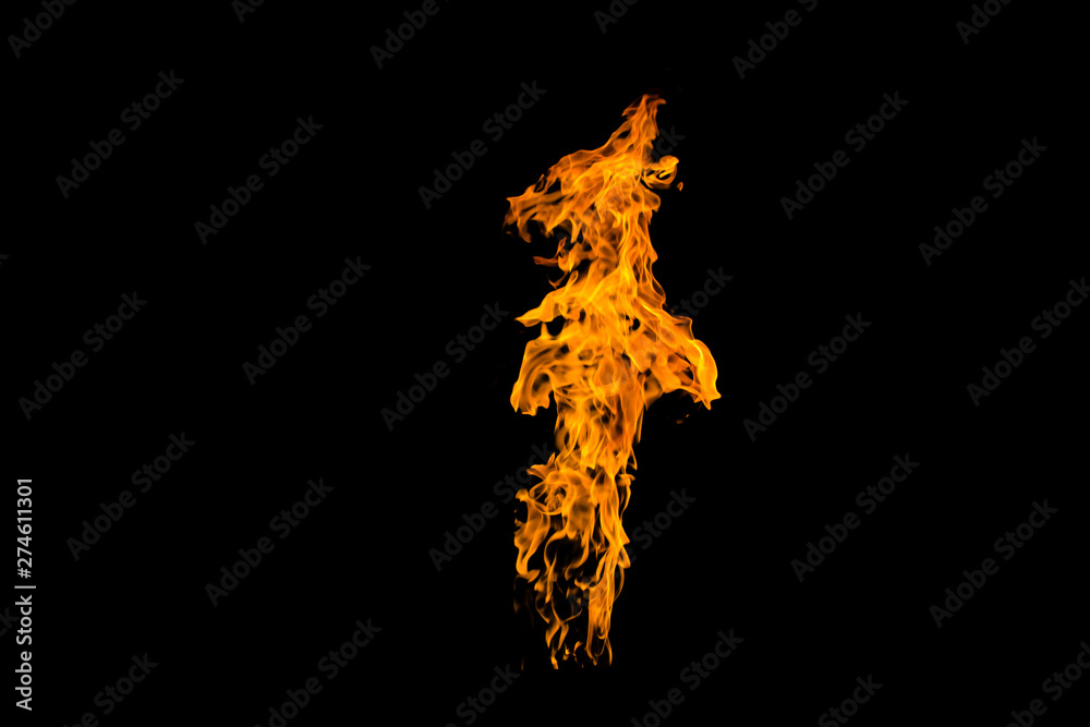 Fire flames in the shape of an animal's muzzle. Fire flames on black ...