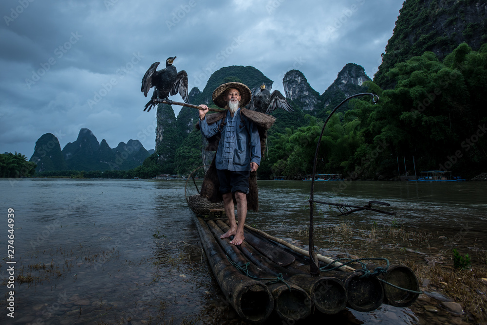 Cormorant fisherman in Traditional showing of his birds on Li river ...