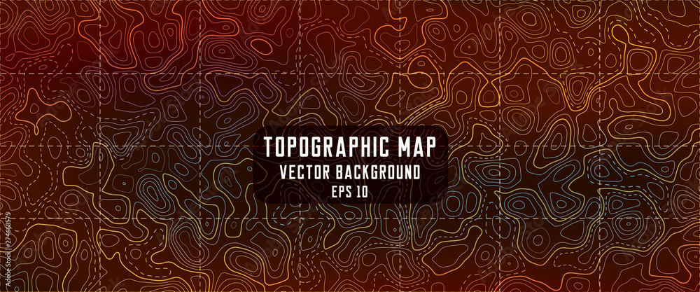 Topographic map. Vector design with lines and contours as background ...