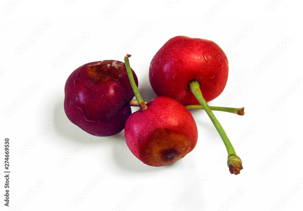 Spoiled sweet cherry from the fridge, rotten fruits. Isolated on white ...