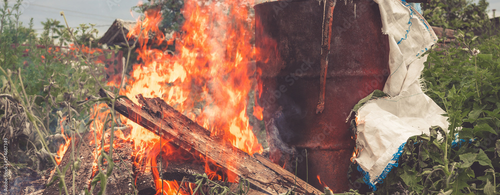 Burning old dry grass in the garden. Destruction of green space. Danger ...