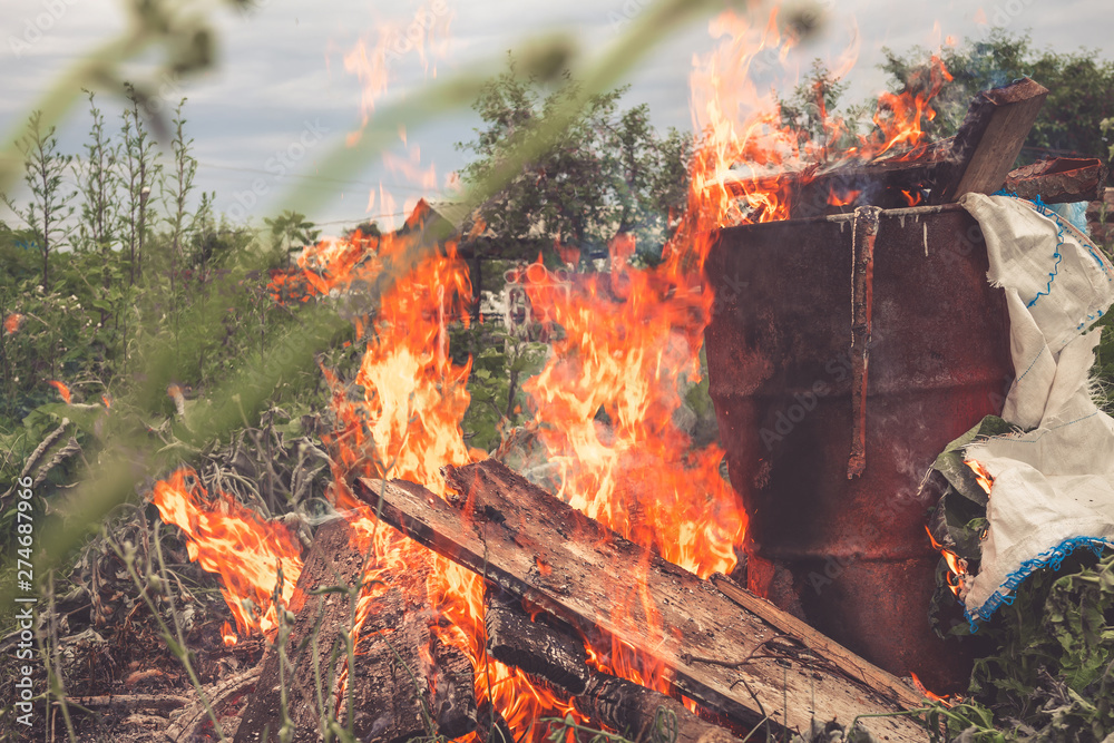 Burning old dry grass in the garden. Destruction of green space. Danger ...