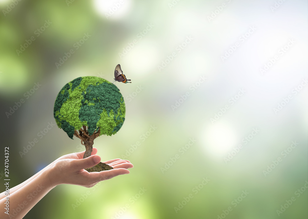 Foto de World forestry day, International day of forest, earth day ...