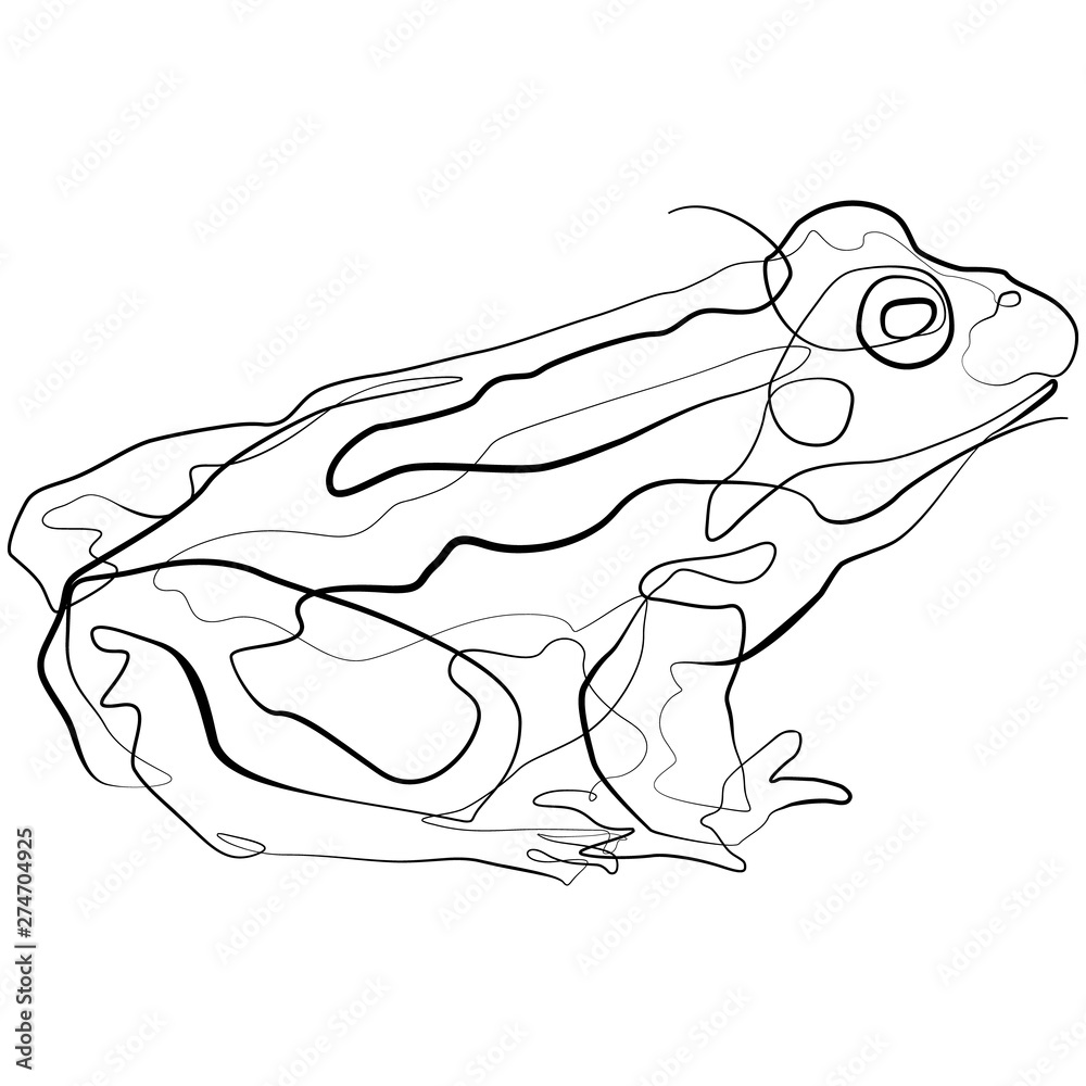 Frog one line drawing. Vector Animal Continuous Line Art Stock Vector ...