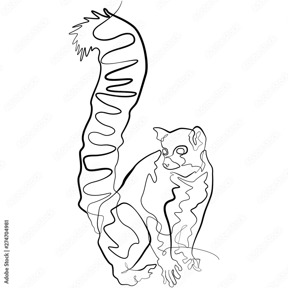 Lemur one line drawing. Continuous line Madagascar Animal Vector Art ...