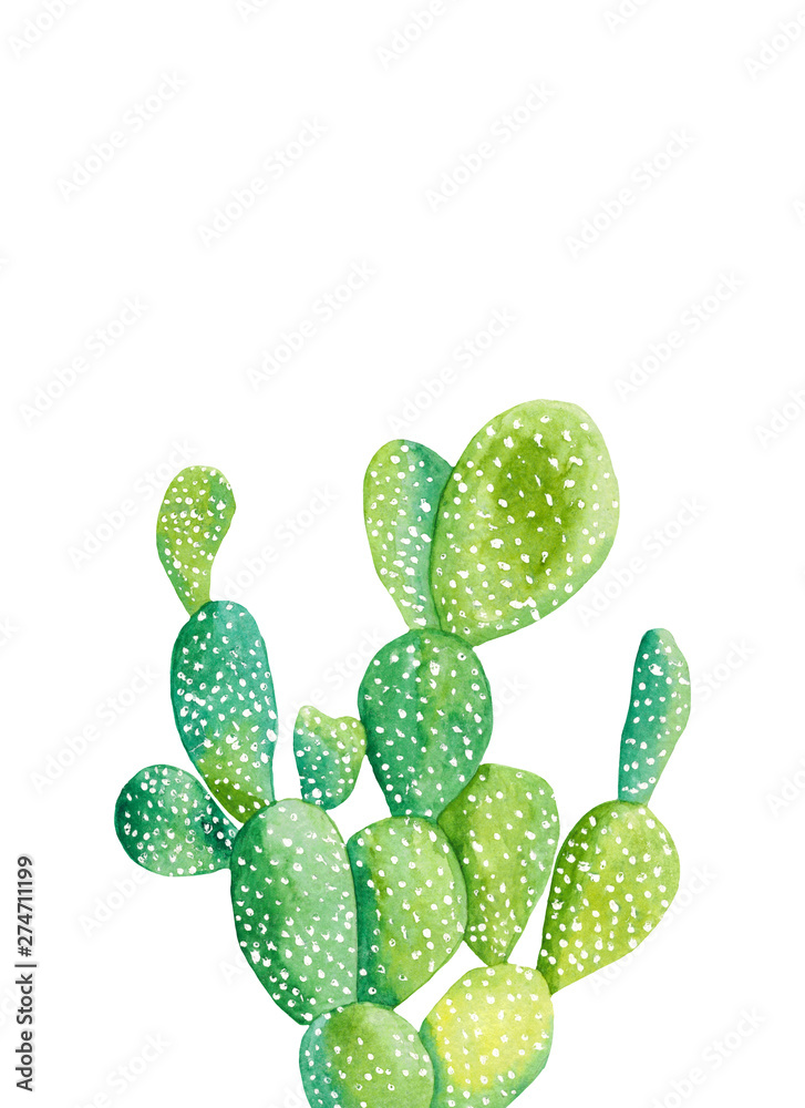 watercolor cactus poster. Raster illustration. illustration for ...