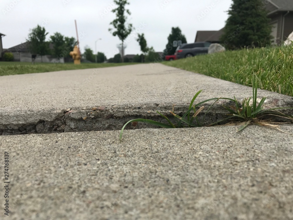 Frost heave crack in residential concrete sidewalk Stock Photo | Adobe ...