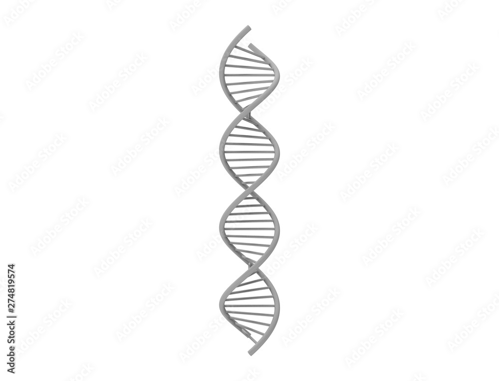 3d rendering of DNA string isolated in white background Stock ...