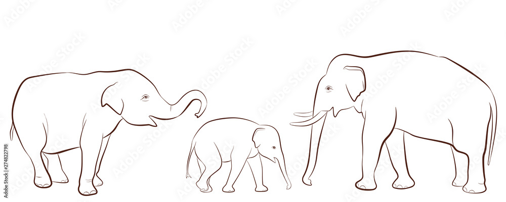 Family of elephants in outline style, vector set of Asian elephants ...