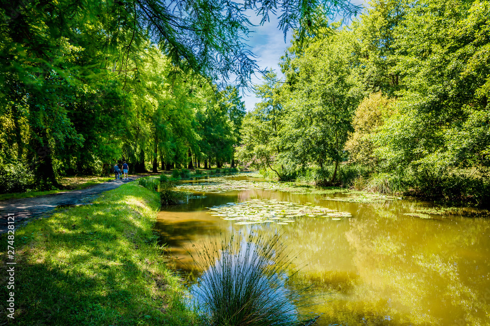 Magnifique paysage du lac de Soustons dans les Landes Stock Photo ...
