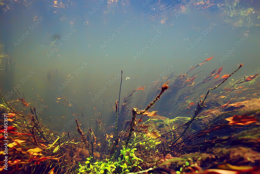 underwater mountain clear river / underwater photo in a freshwater ...