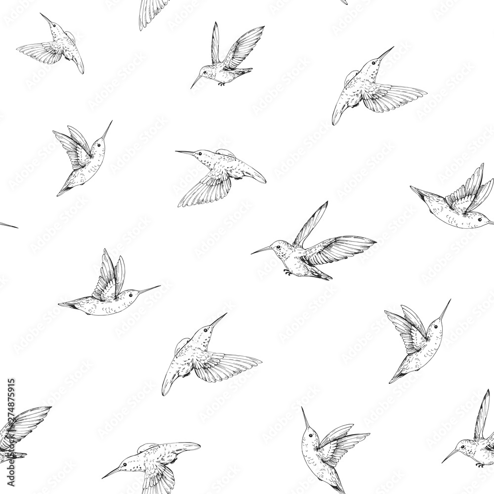 Seamless pattern with hummingbirds. Hand drawn vector illustration ...
