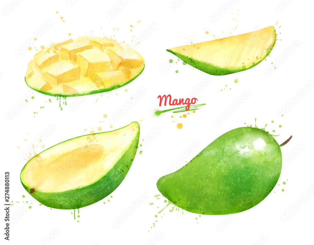 Watercolor set of illustrations of green Mango fruit Stock Illustration ...