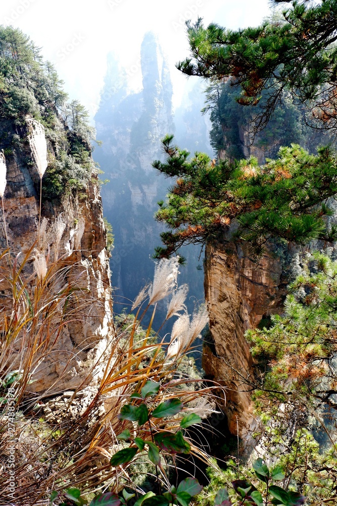 Zhangjiajie National Forest Park, China - UNESCO World Heritage Site ...