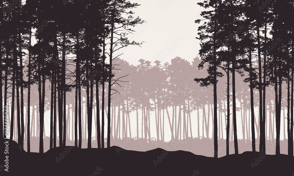 Realistic illustration of landscape with coniferous forest with pine ...