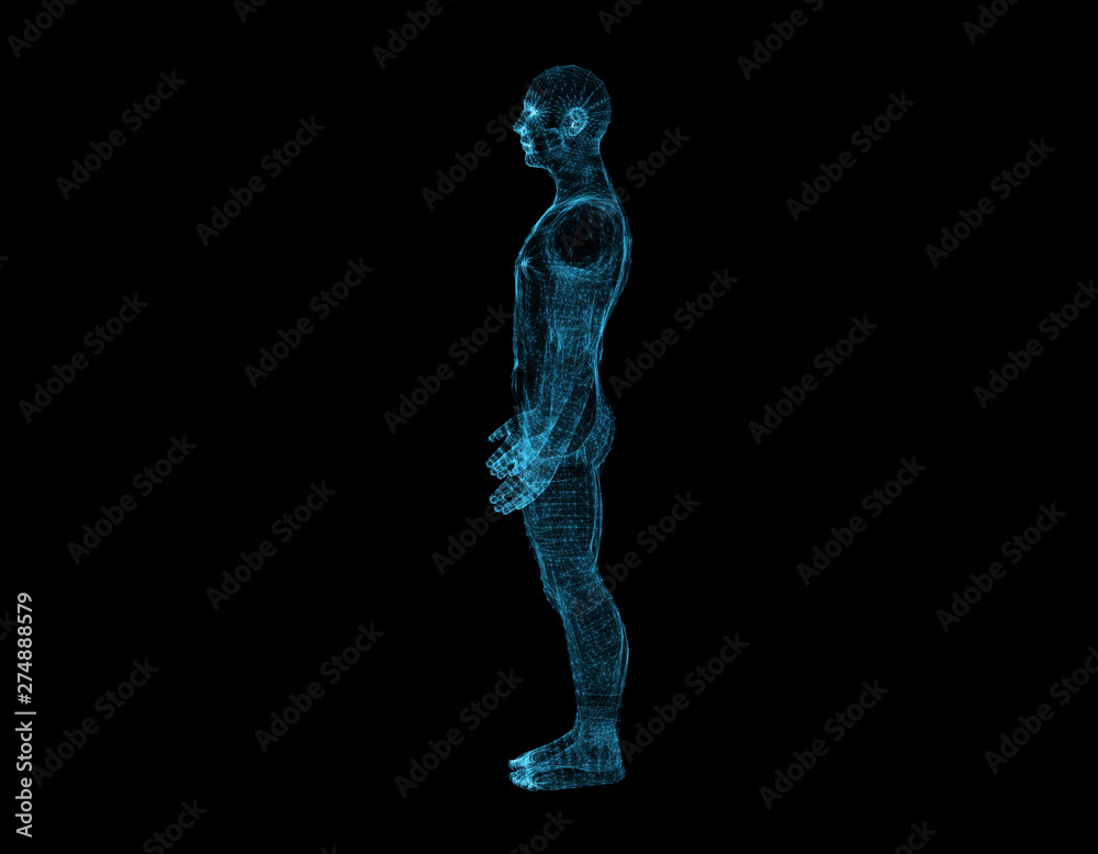 Future human technology, human body wireframe graphics, network data ...