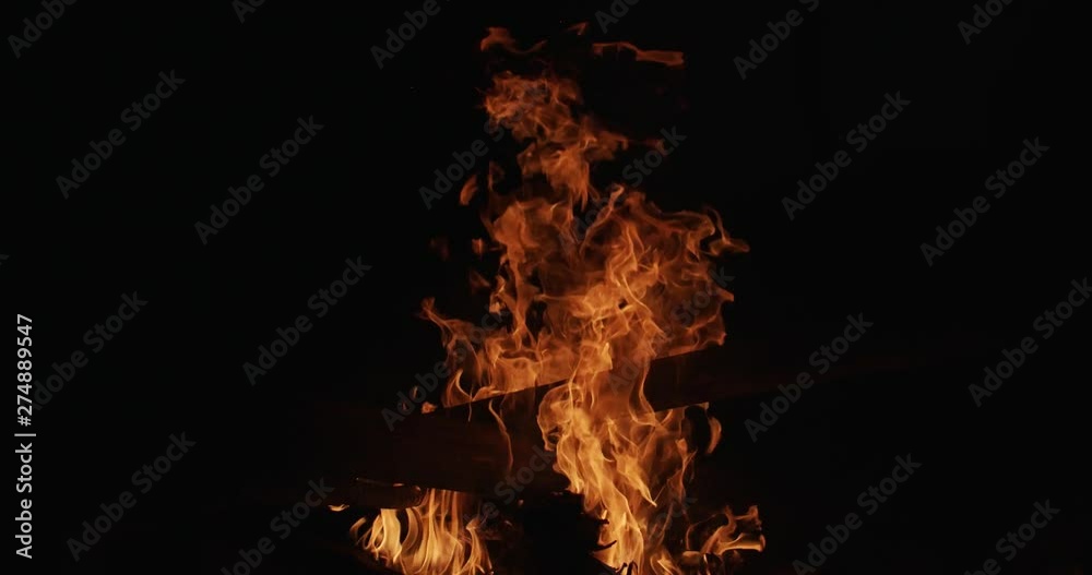 Bright campfire burning on dark background at night. Orange flame close ...