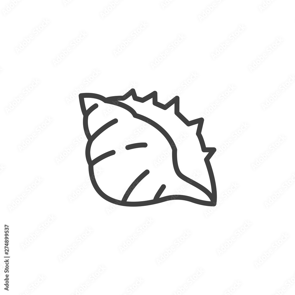 Conch Shell Vector