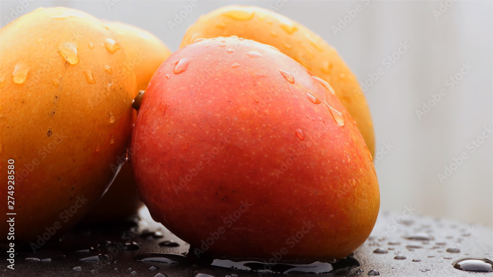 juicy mango with water drops rotating slowly. Apple Mango Close Up Rotation. Beautiful Tropical ...
