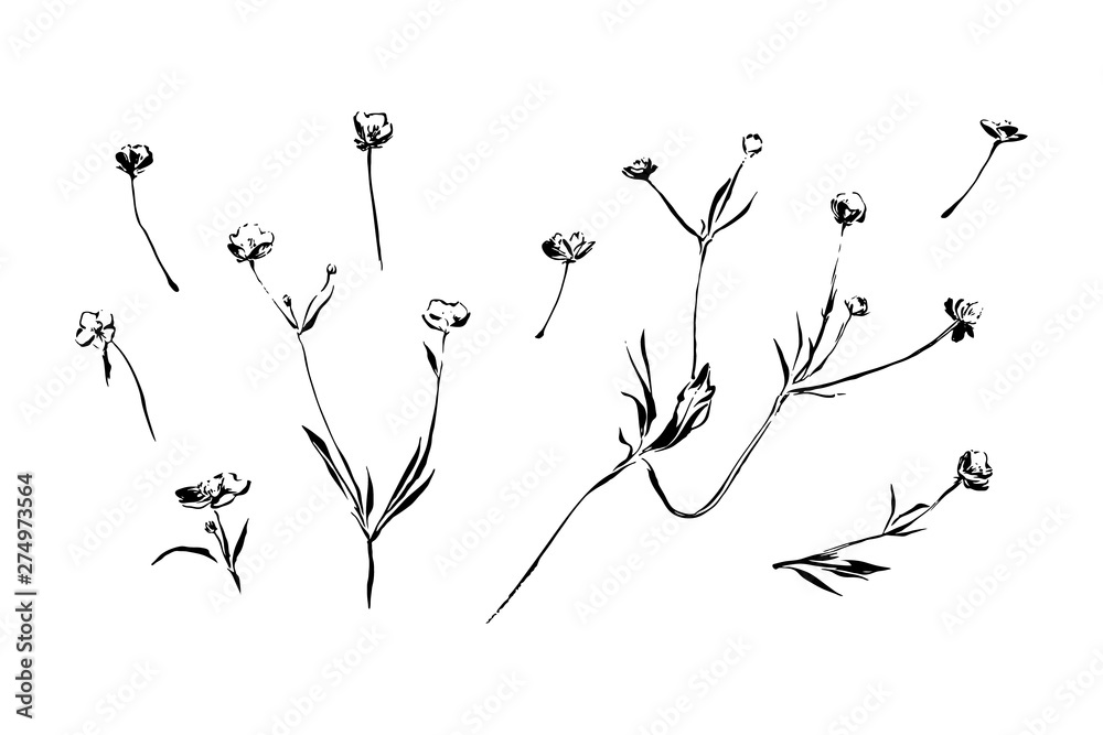 Set of hand drawn outline blossom weed flowers with leaves. Sketch or ...
