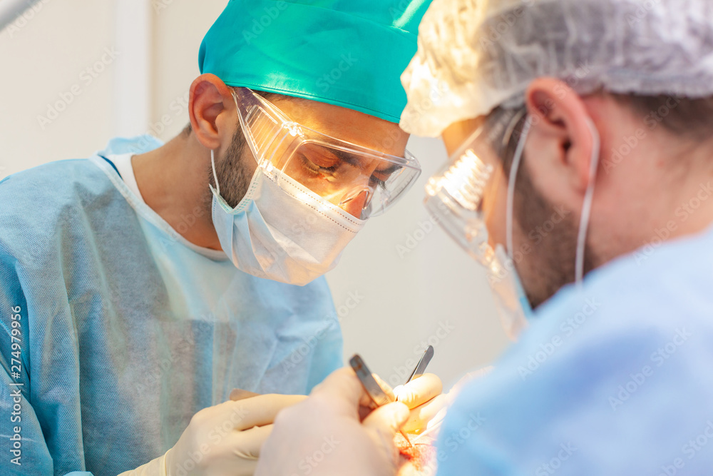 Baldness treatment. Hair transplant. Surgeons in the operating room ...