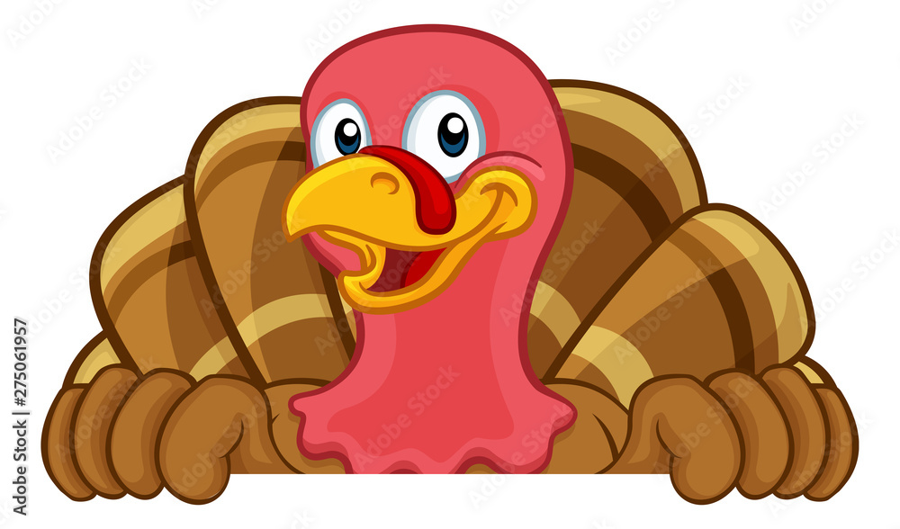 Turkey Thanksgiving or Christmas bird animal cartoon character peeking ...