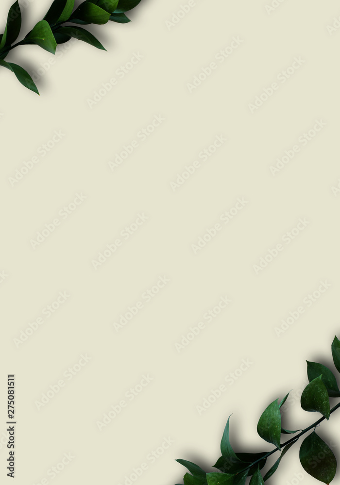 Green leaves isolated on white copyspace background. Foliage branches ...
