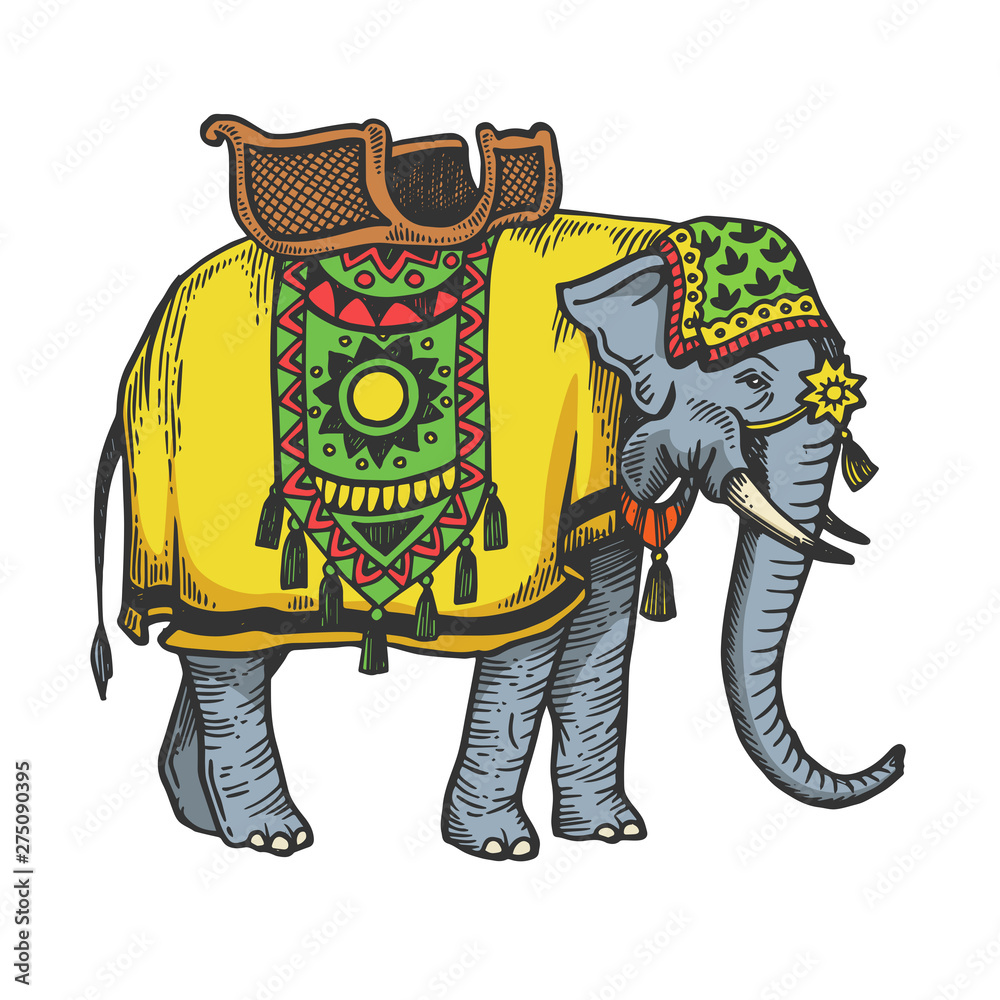 Indian Elephant Illustration